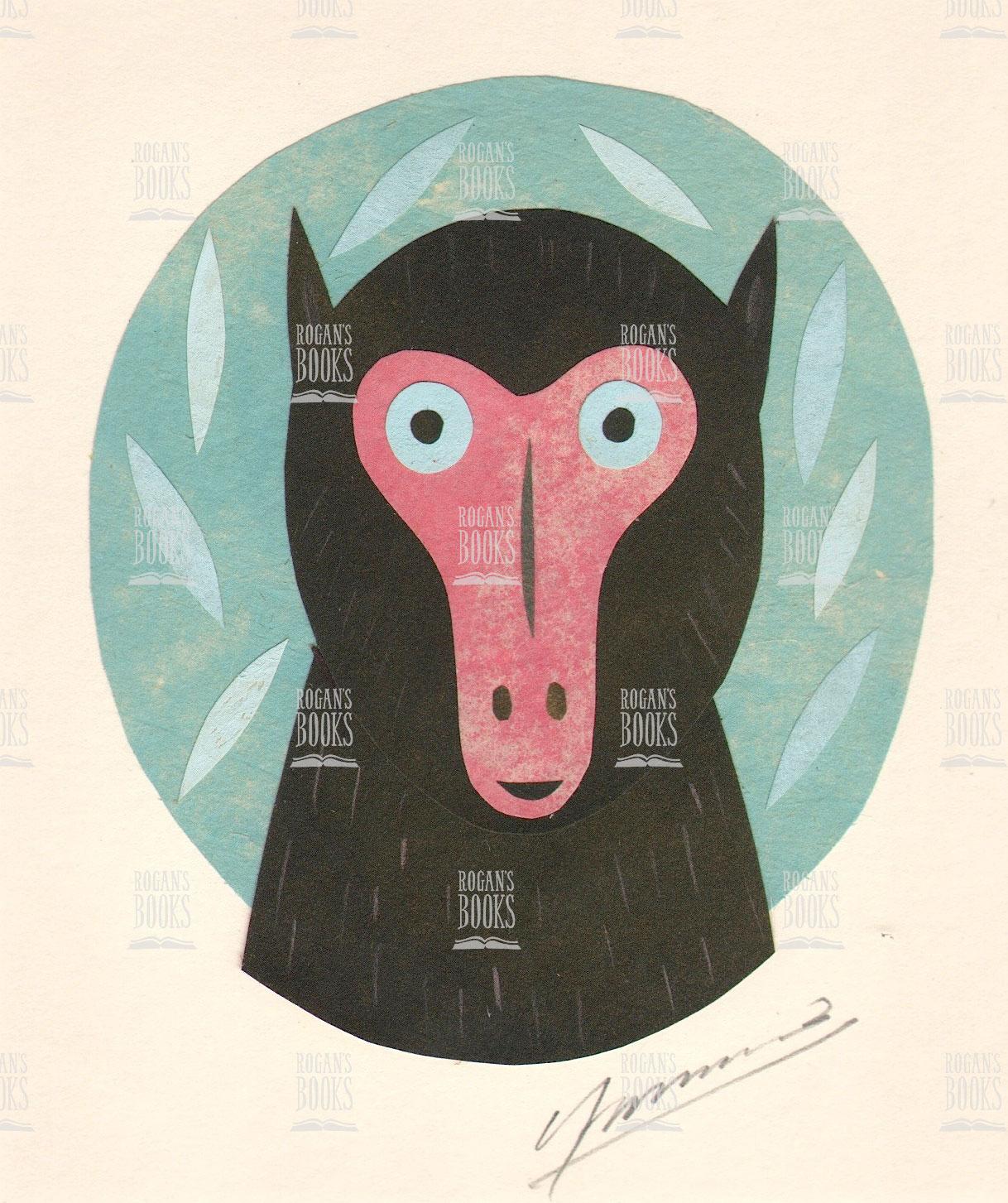 Cathie Felstead - Baviaan head - Children's Book Illustrations at ...