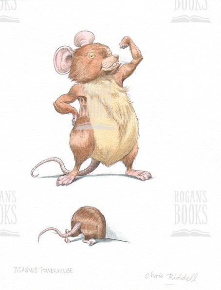 Chris Riddell - Book front and back cover, Magnus Powermouse - Children ...