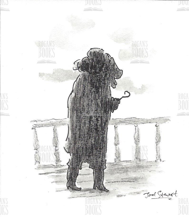 Joel Stewart - Hook - Children's Book Illustrations at Rogans Books