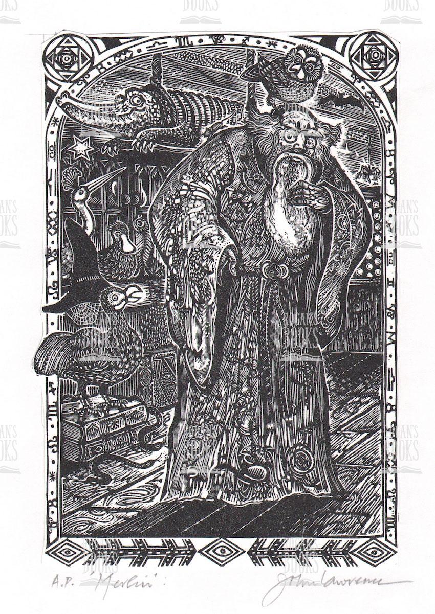 John Lawrence - Merlin - Children's Book Illustrations at Rogans Books