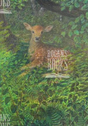 Paul Howard - The Fawn/Edna St Vincent Millay - Children's Book ...