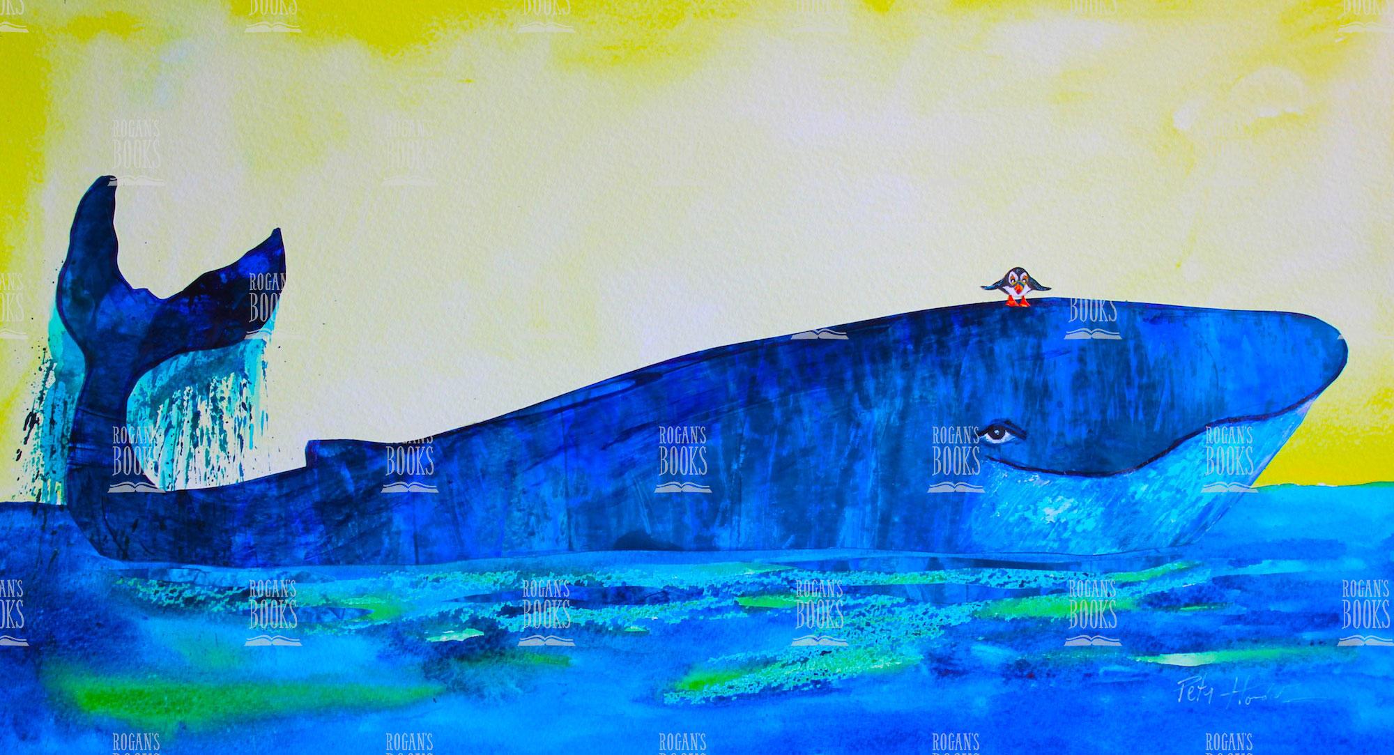 Petr Horacek, Look! Said the whale. What's that? - Children's Book ...