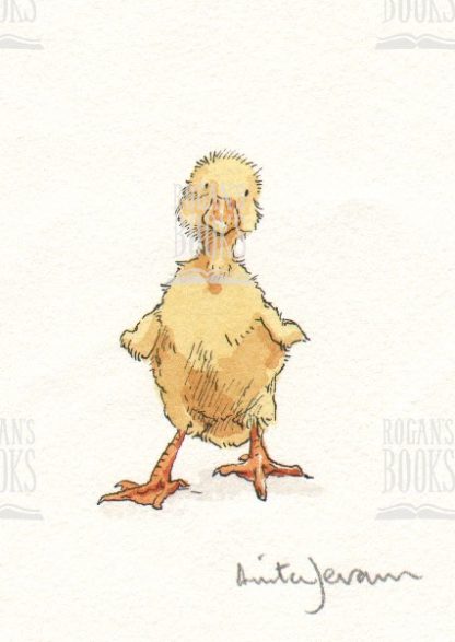 Penny Dale - SURPRISE! - Children's Book Illustrations at Rogans Books