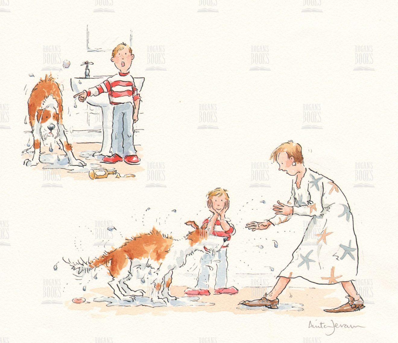 Jane Simmons - Fairies! - Children's Book Illustrations at Rogans Books