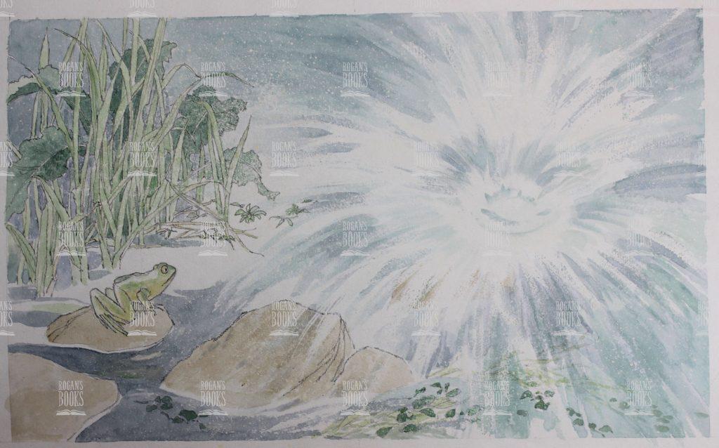 Barbara Firth - Sploosh! - Children's Book Illustrations at Rogans Books