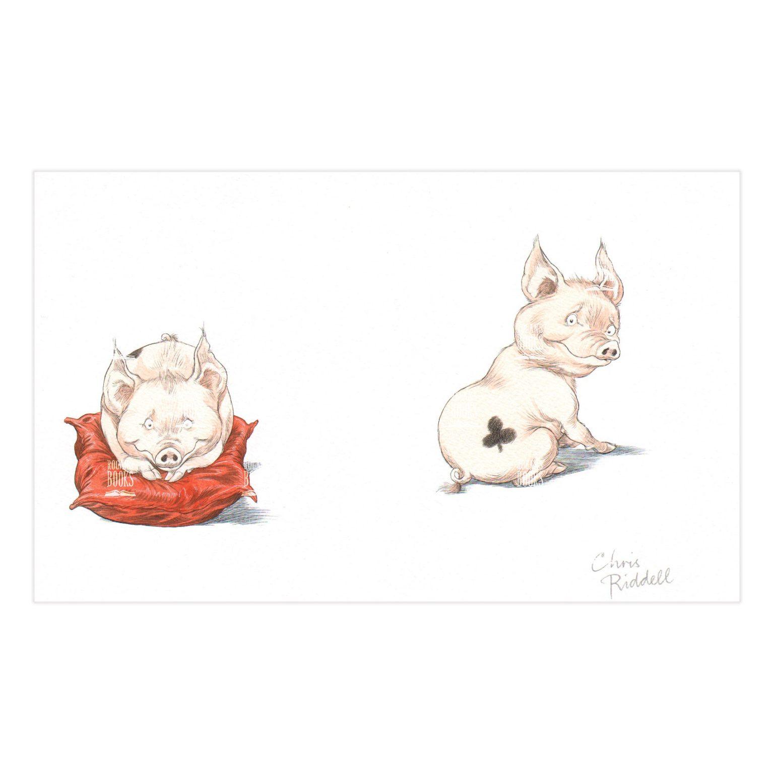 Jane Simmons - Fairies! - Children's Book Illustrations at Rogans Books