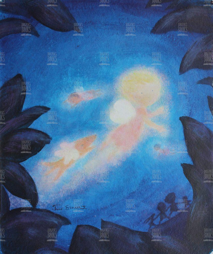 Jane Simmons - Book cover - Where the fairies fly - Children's Book ...