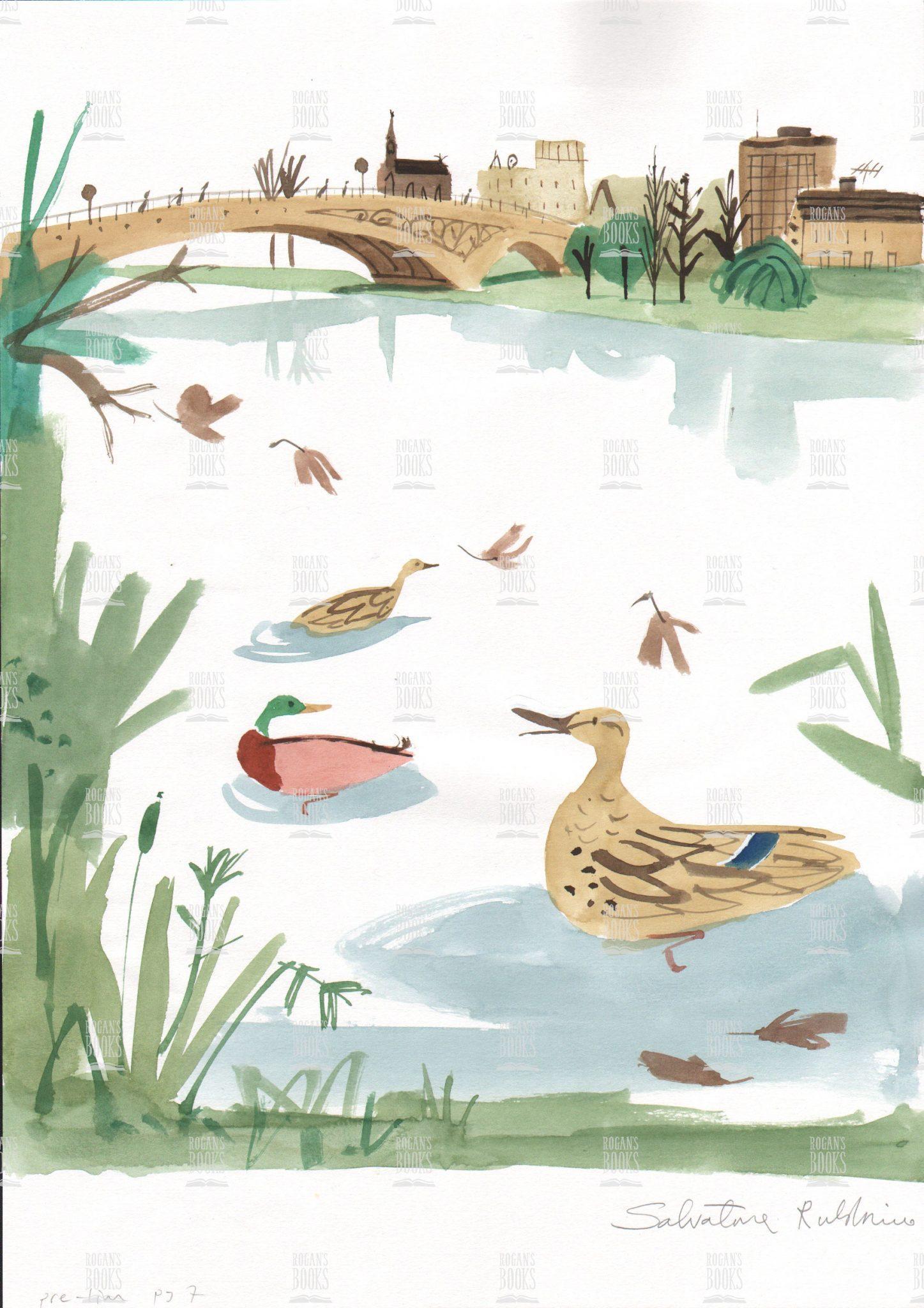 Salvatore Rubbino - Just ducks! - Children's Book Illustrations at ...